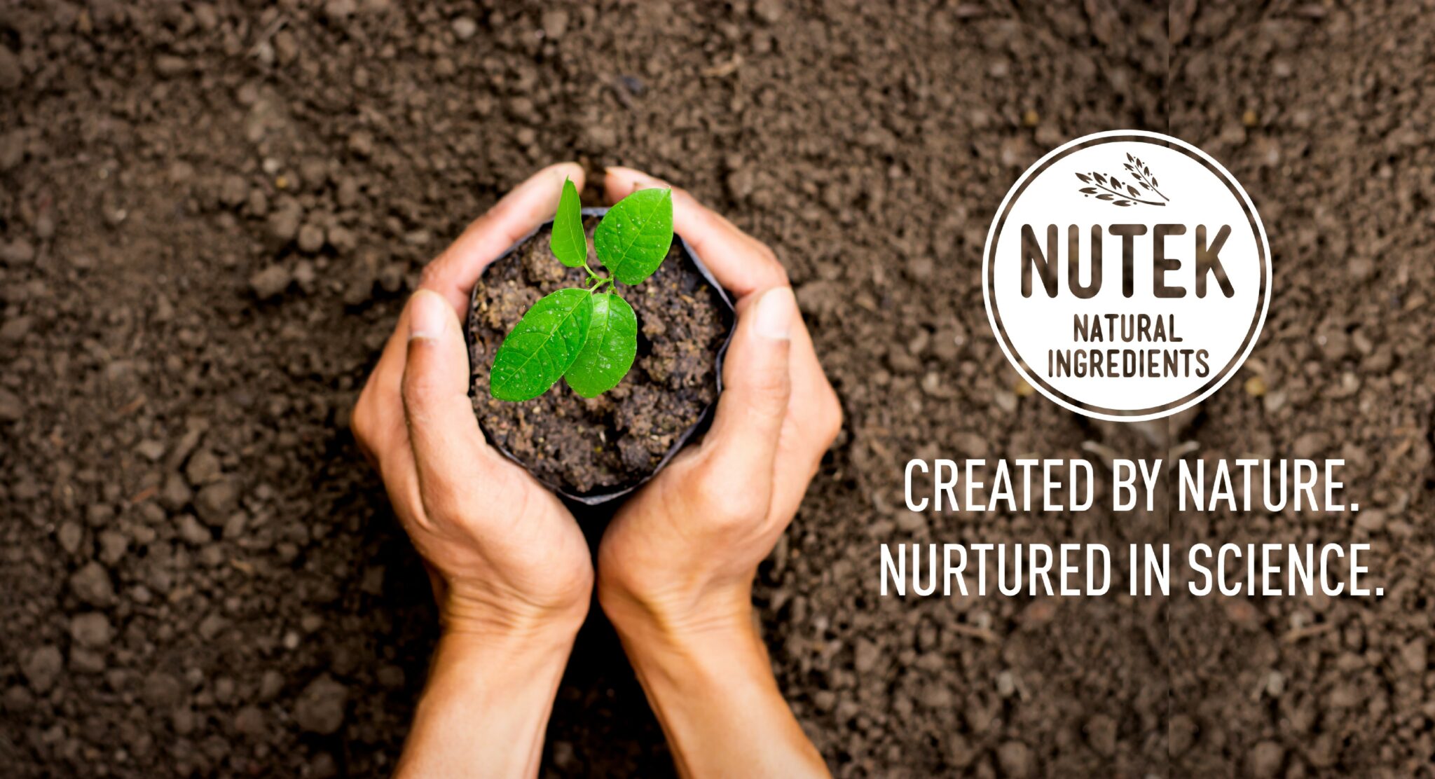 Making A Clean Swap - NuTek Natural Ingredients - Dakota Business Lending